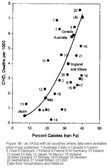 Part I-Low Carb High Fat – The Diet-Heart Hypothesis | Wolf Health ...